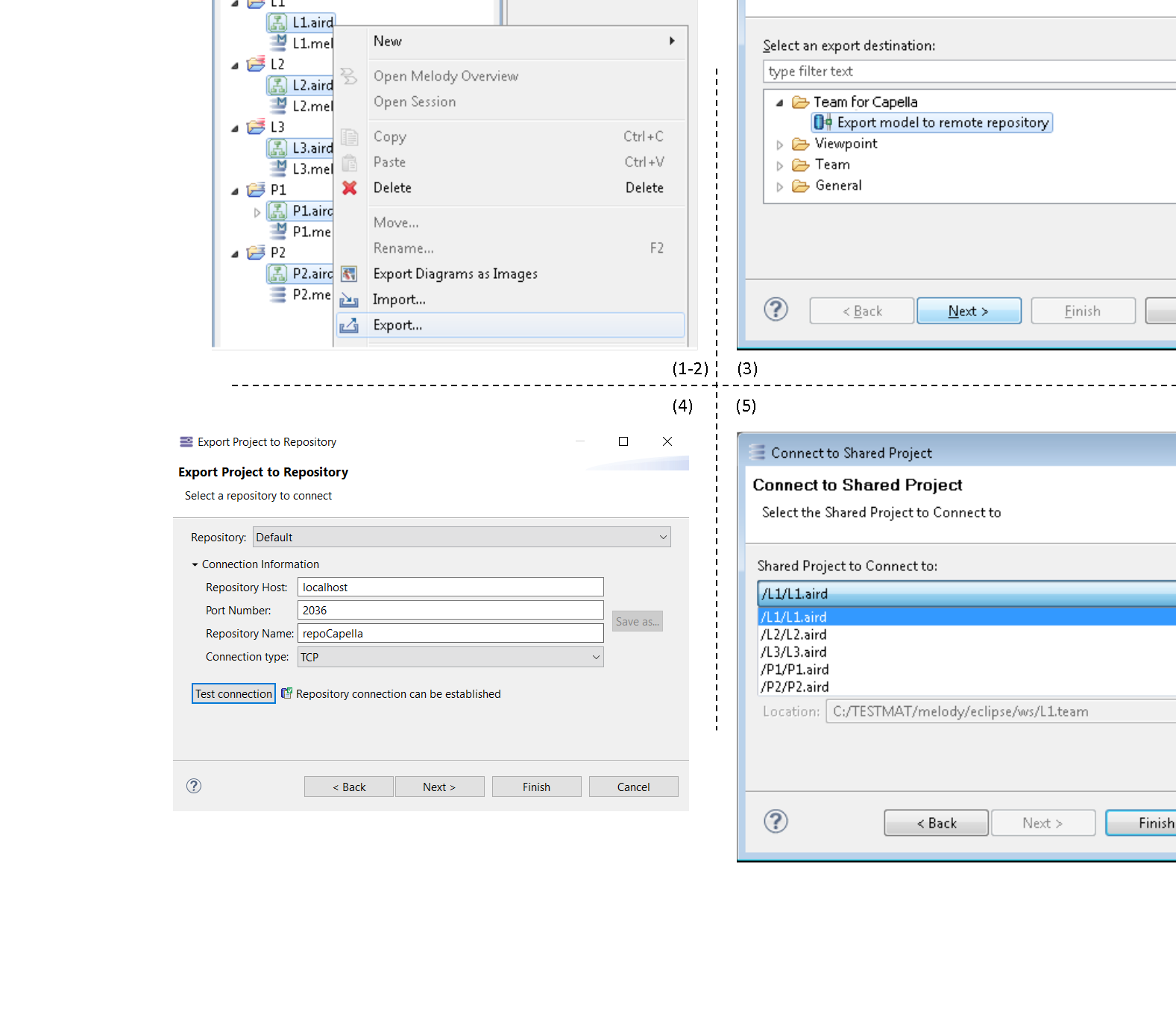 Team for Capella Guide